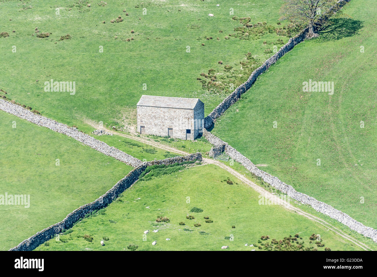 Field, wall and barn structures in Swaledale Stock Photo - Alamy