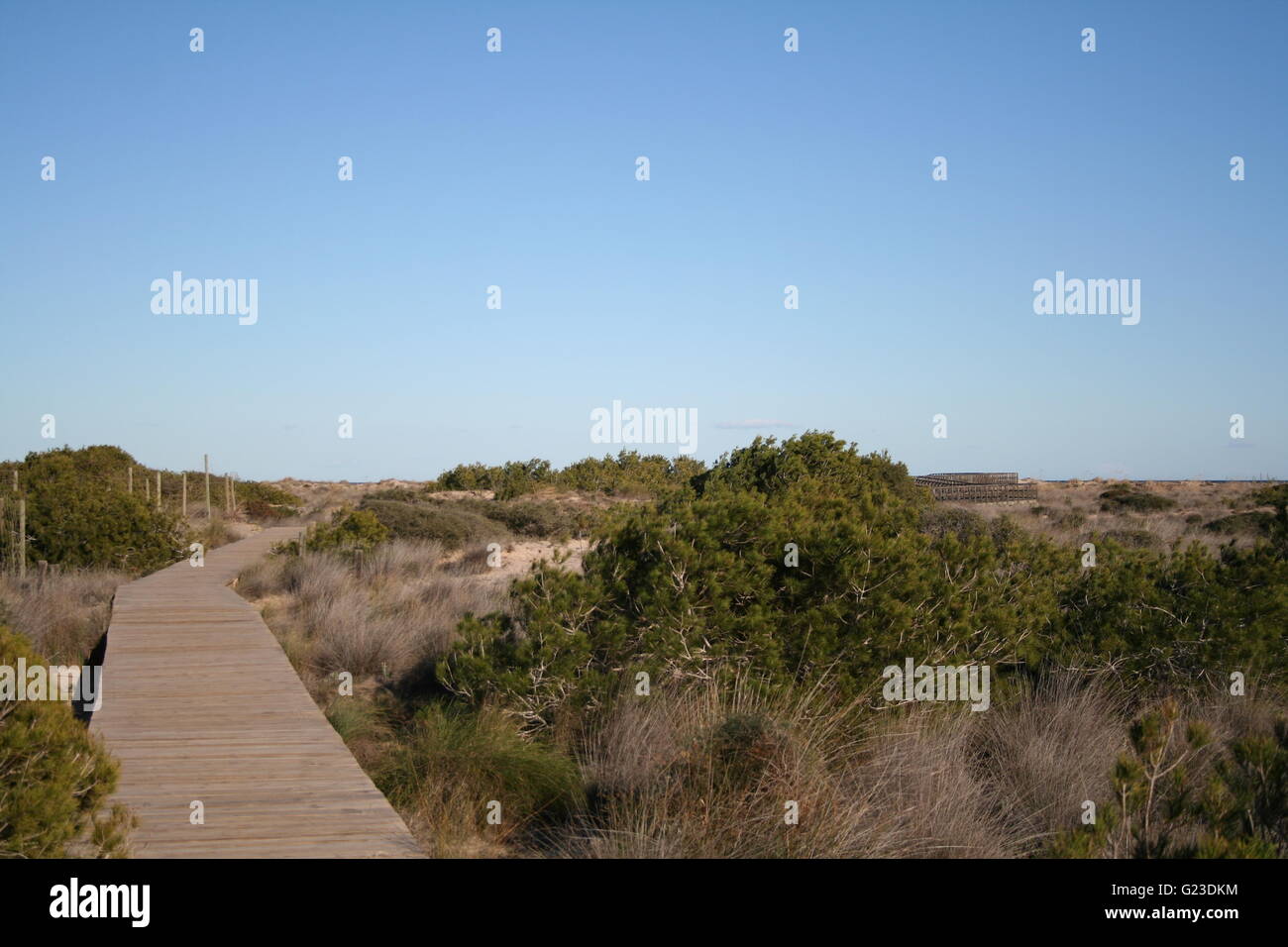 A pathway in nature Stock Photo - Alamy