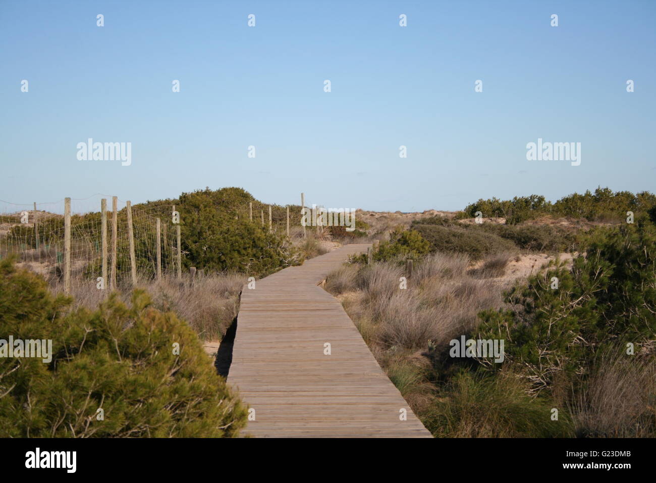 A pathway in nature Stock Photo - Alamy