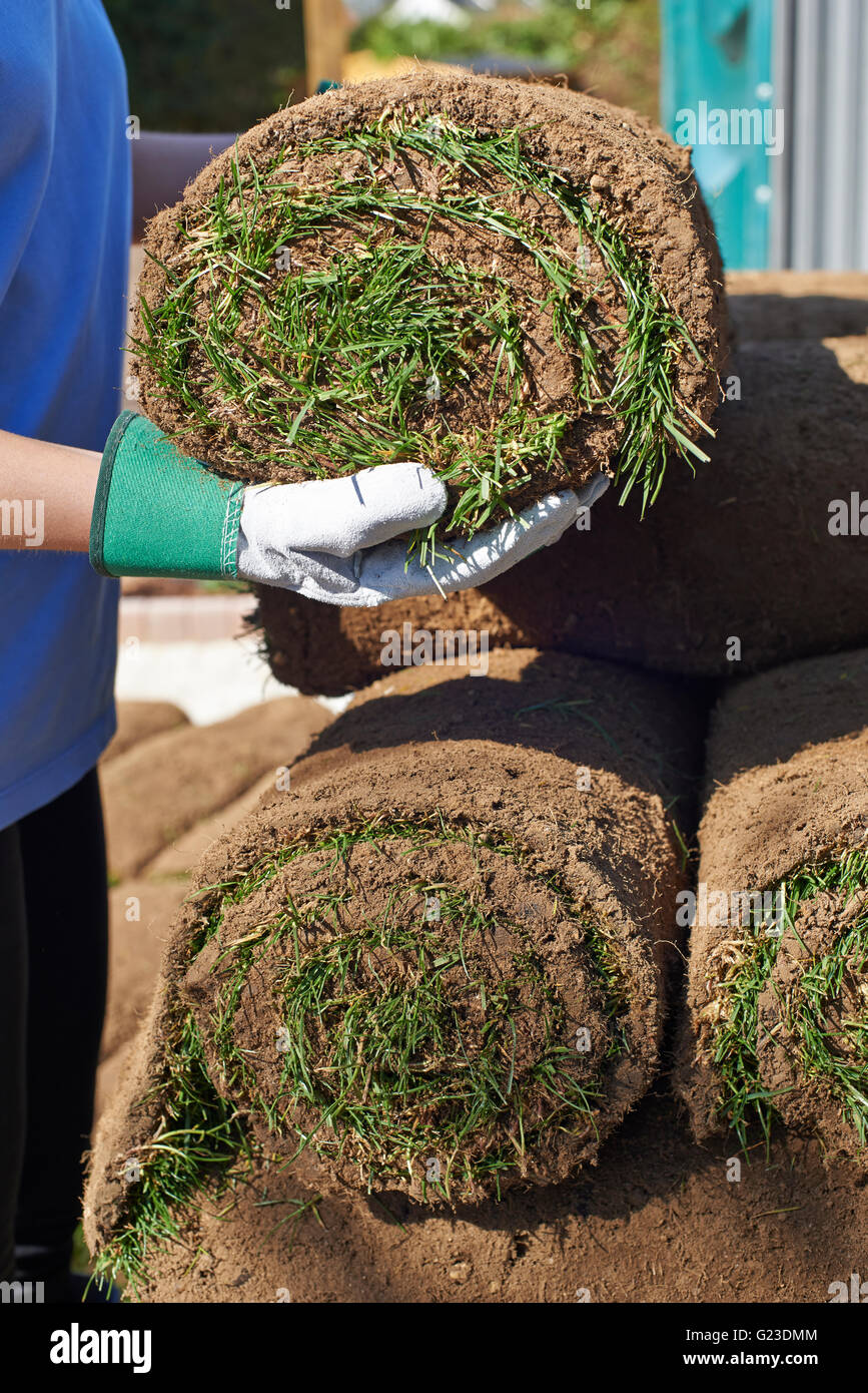 Close Up Of Landscape Gardener Laying Turf For New Lawn Stock Photo - Alamy