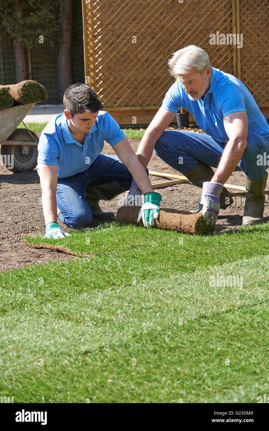 Landscape Gardeners Laying Turf For New Lawn Stock Photo - Alamy