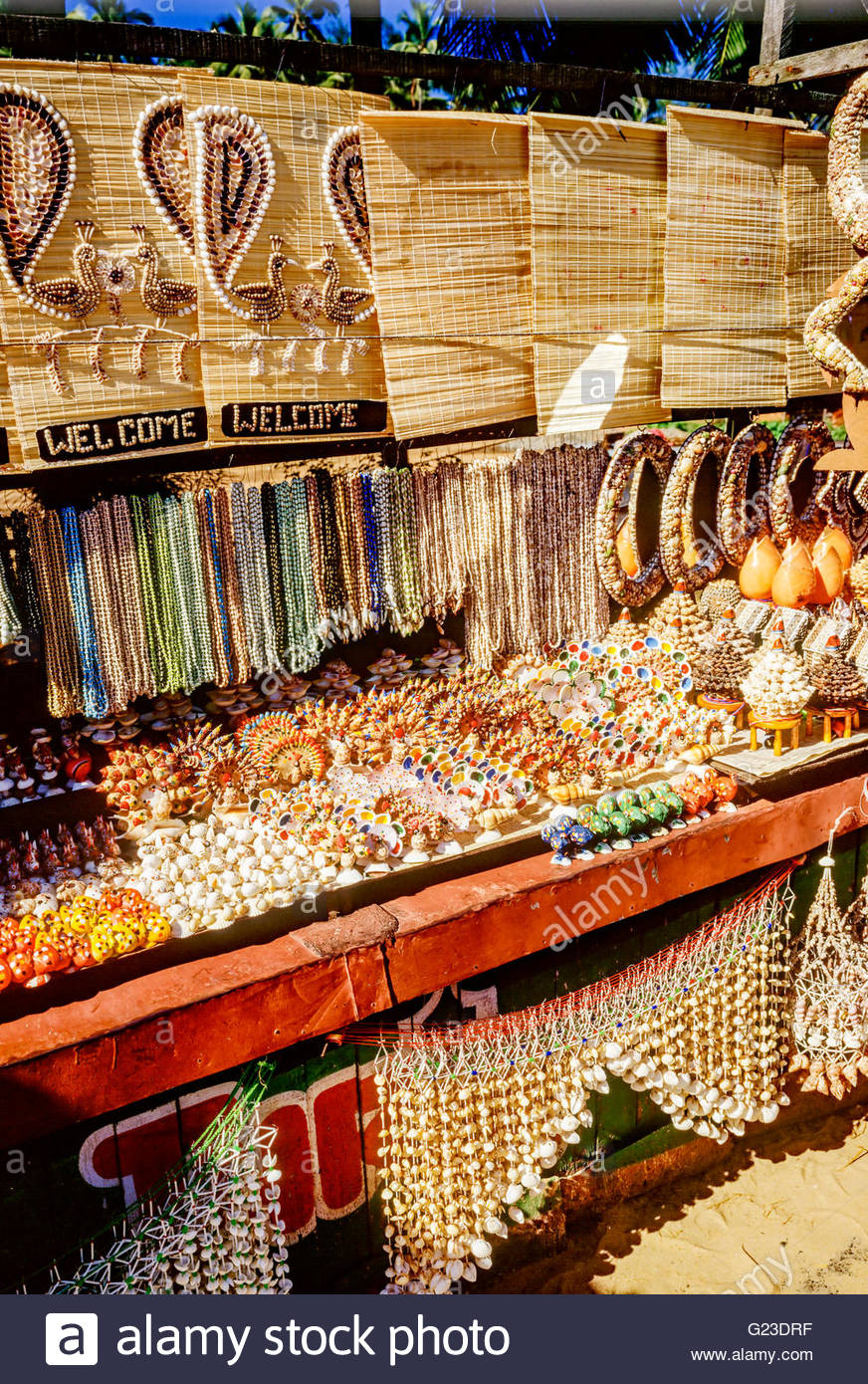 Kerala Sea Shells High Resolution Stock Photography and Images - Alamy