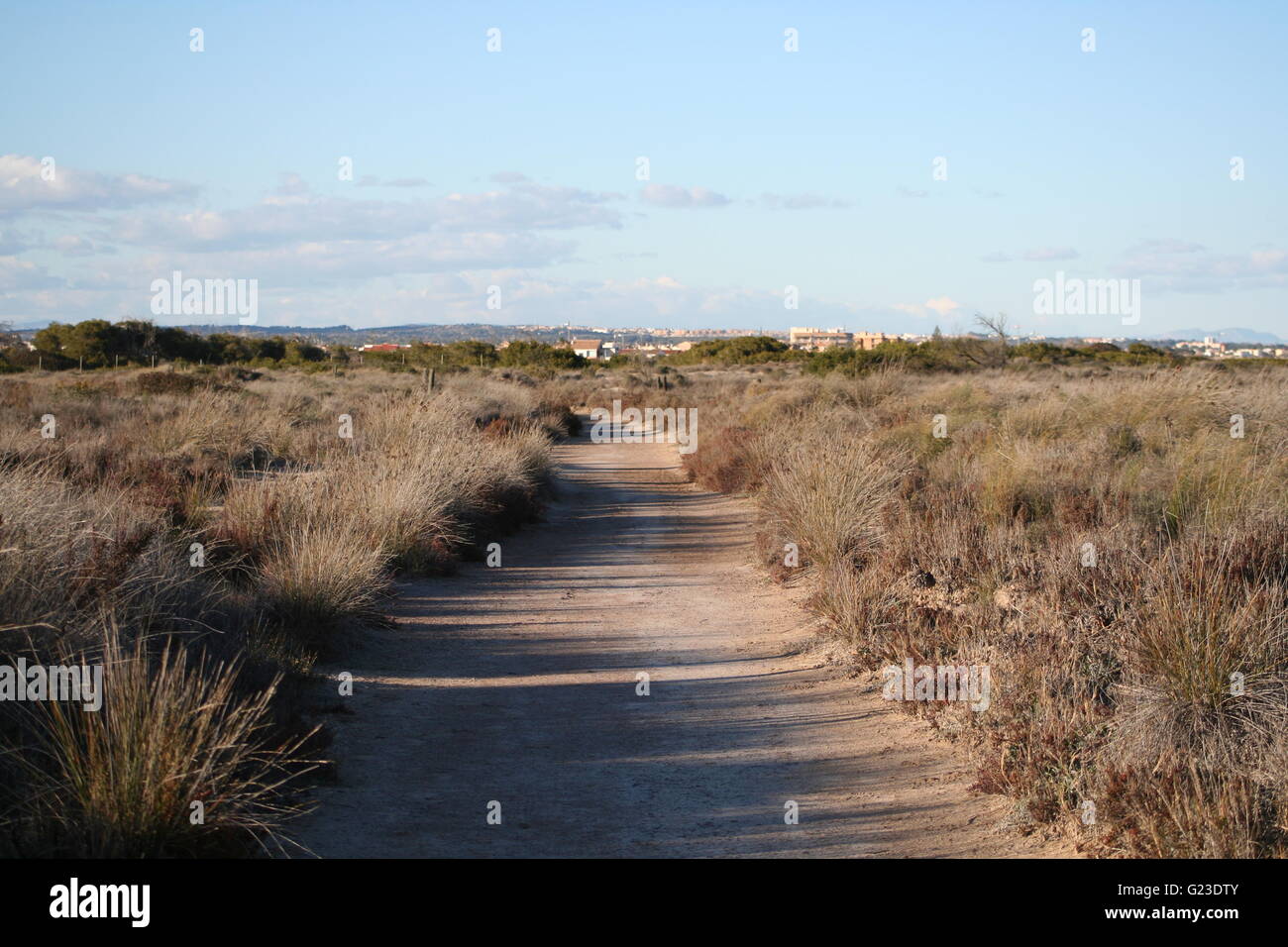 Sandy path in nature Stock Photo - Alamy