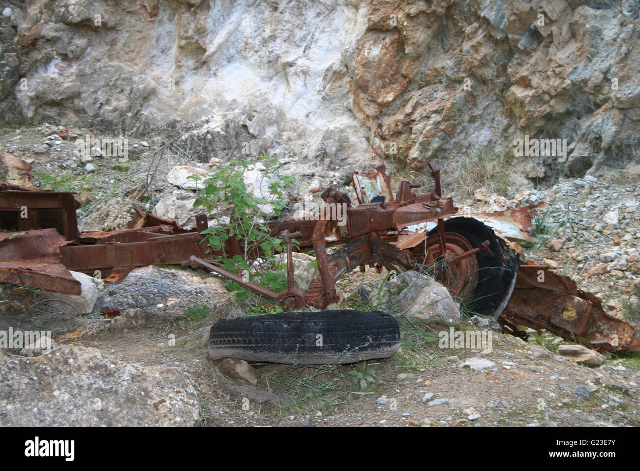 An old fallen car in the forest Stock Photo - Alamy