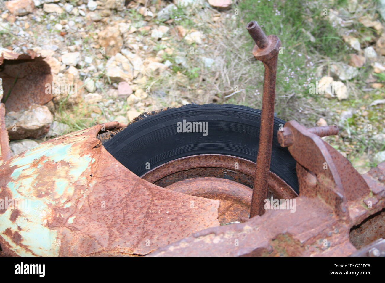 An old fallen car in the forest Stock Photo - Alamy