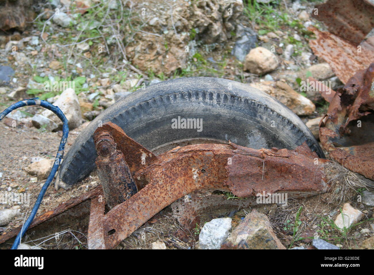 Car in the forest hi-res stock photography and images - Alamy