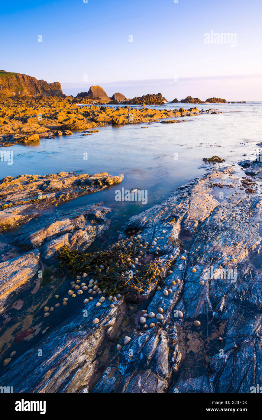 Blegberry Beach on the North Devon coast near Hartland, England Stock ...