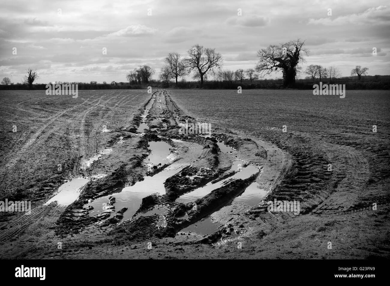 Farming, entrance muddy wet field, rural country life, wellington boots ...