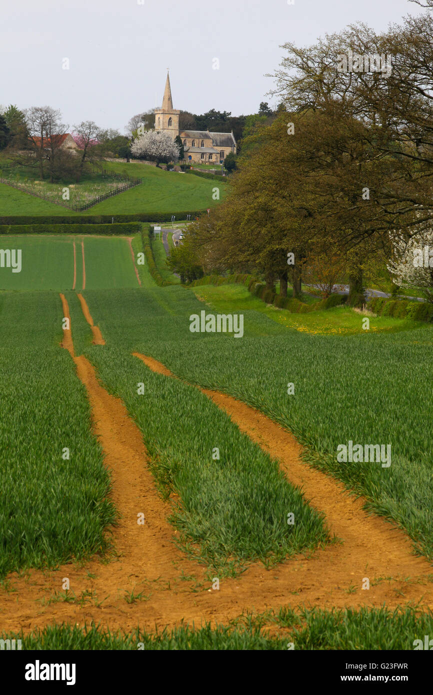 Farm track tracks wheels trail to village crop leading to church on ...