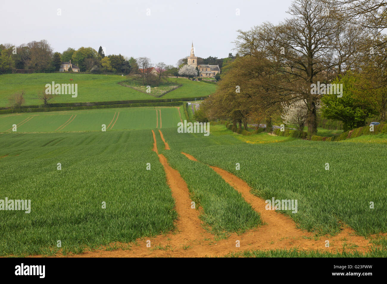 Halloween trees village country harvest hi-res stock photography and ...