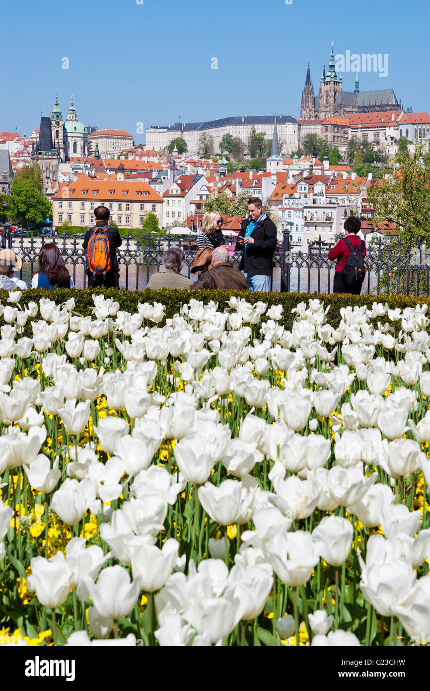 Prague castle garden tulips hi-res stock photography and images - Alamy
