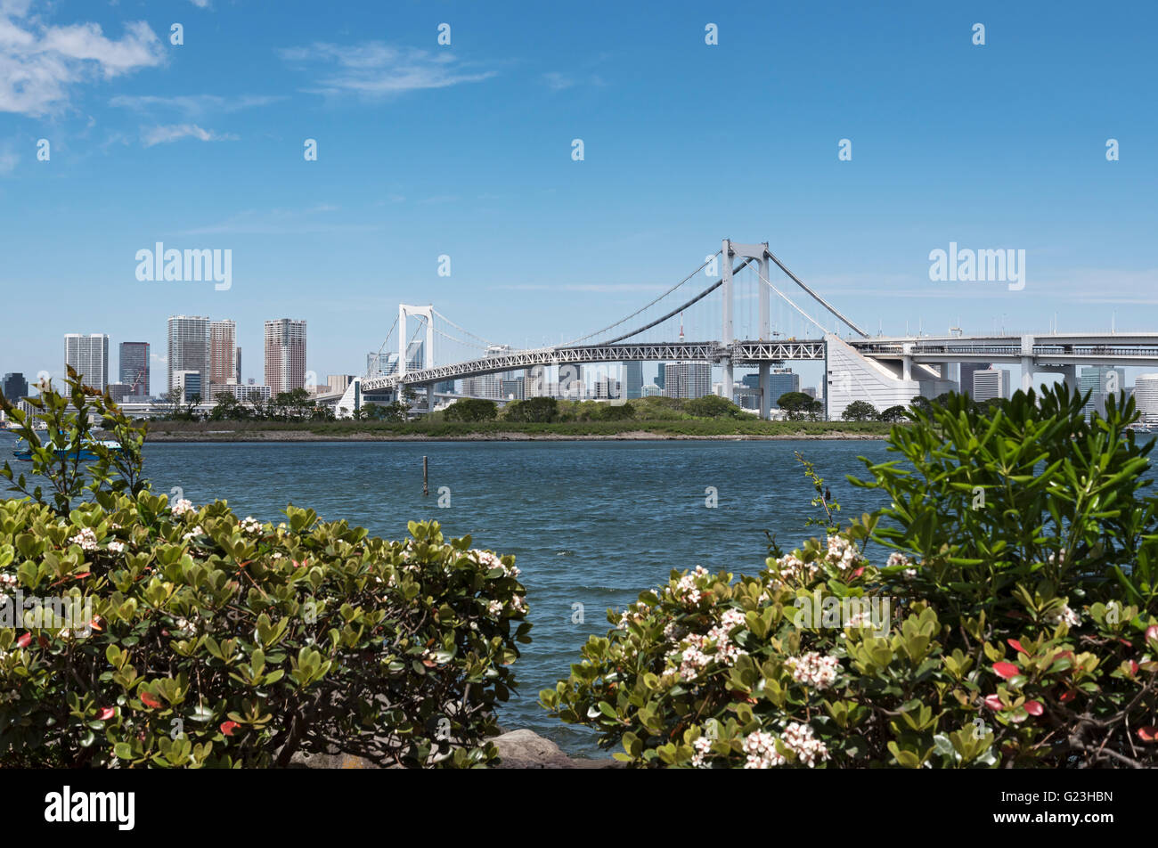 Rainbow Bridge and surrounding Tokyo Bay as seen from Odaiba (Daiba ...