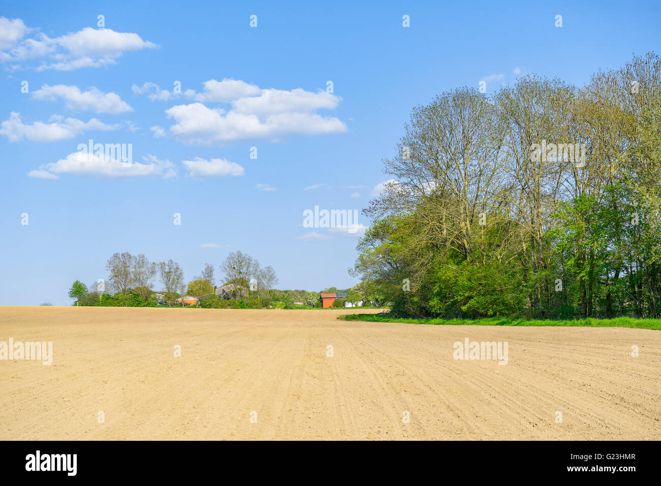 sunny agricultural scenery at a plowed field in Hohenlohe, a district ...