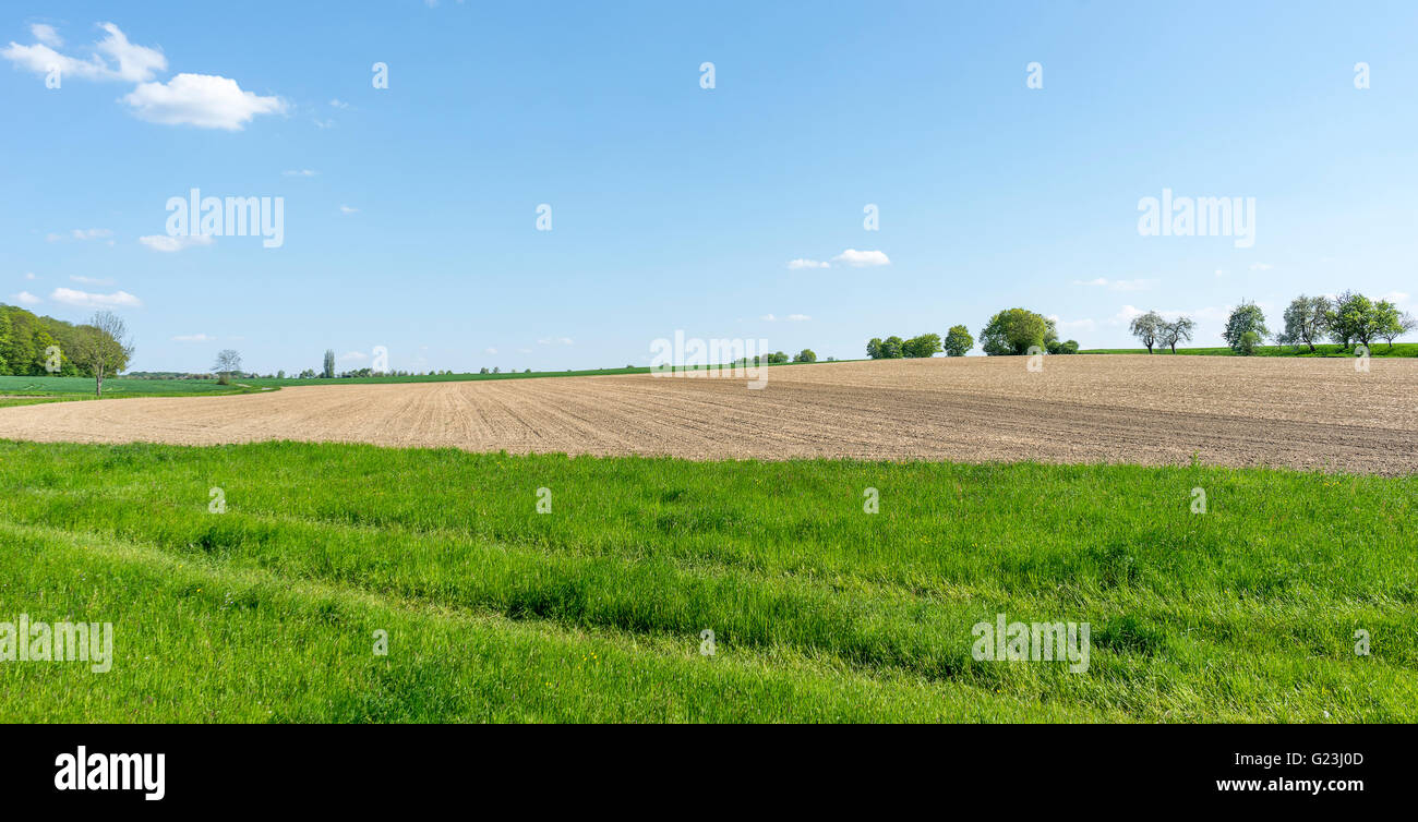 sunny agricultural scenery at a plowed field in Hohenlohe, a district ...