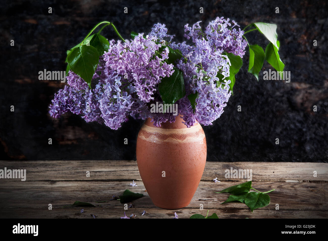 lilac in a vase of different colors Stock Photo - Alamy