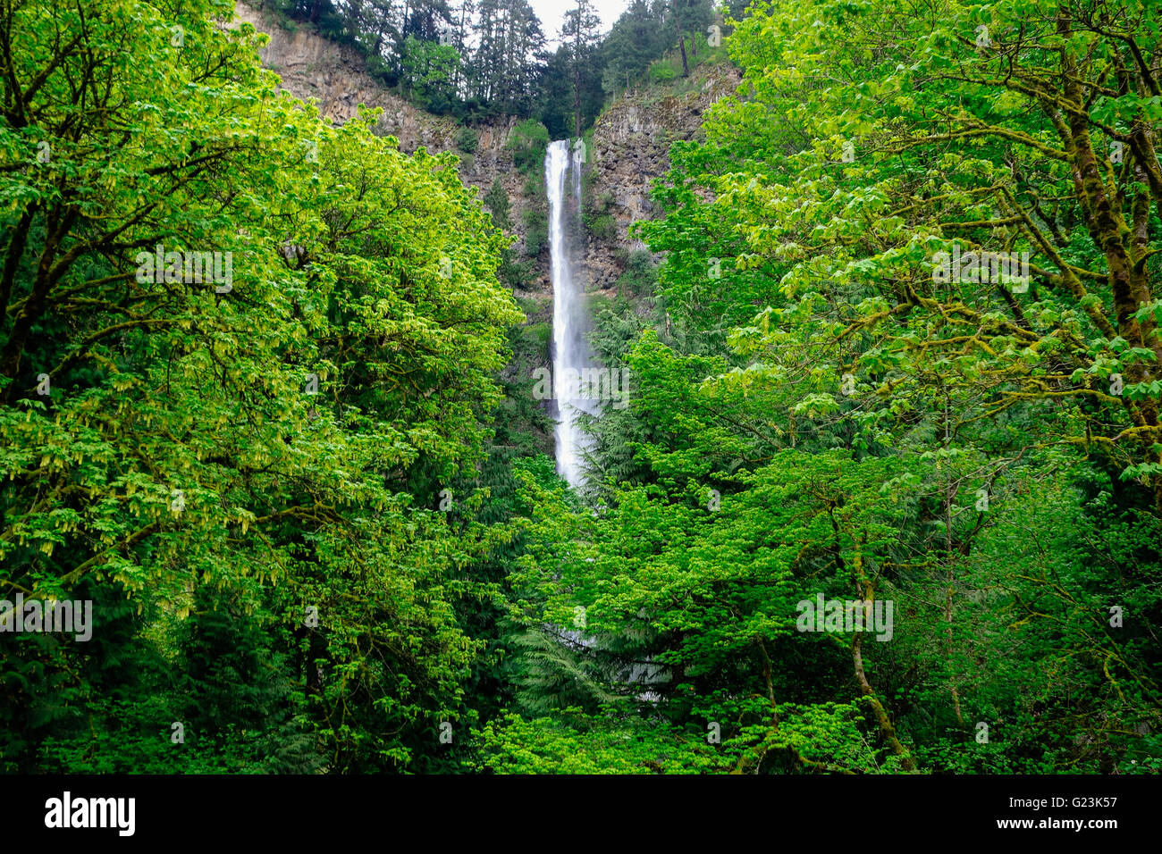 Multnomah Fall Oregon Stock Photo - Alamy