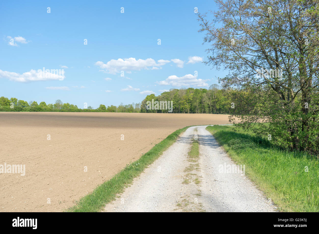 sunny illuminated idyllic field path at spring time in Hohenlohe, a ...