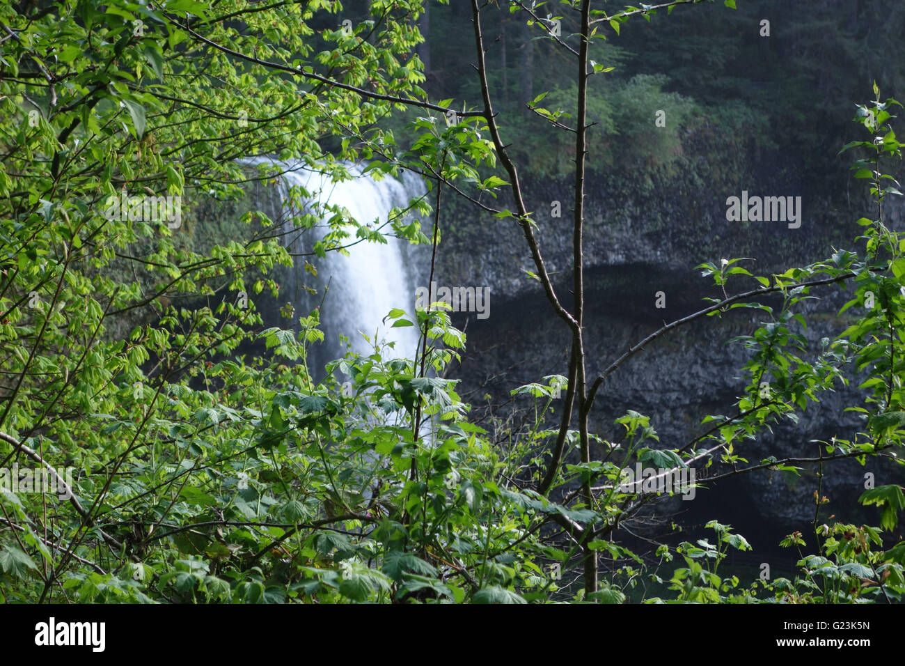 waterfall behind trees Stock Photo - Alamy