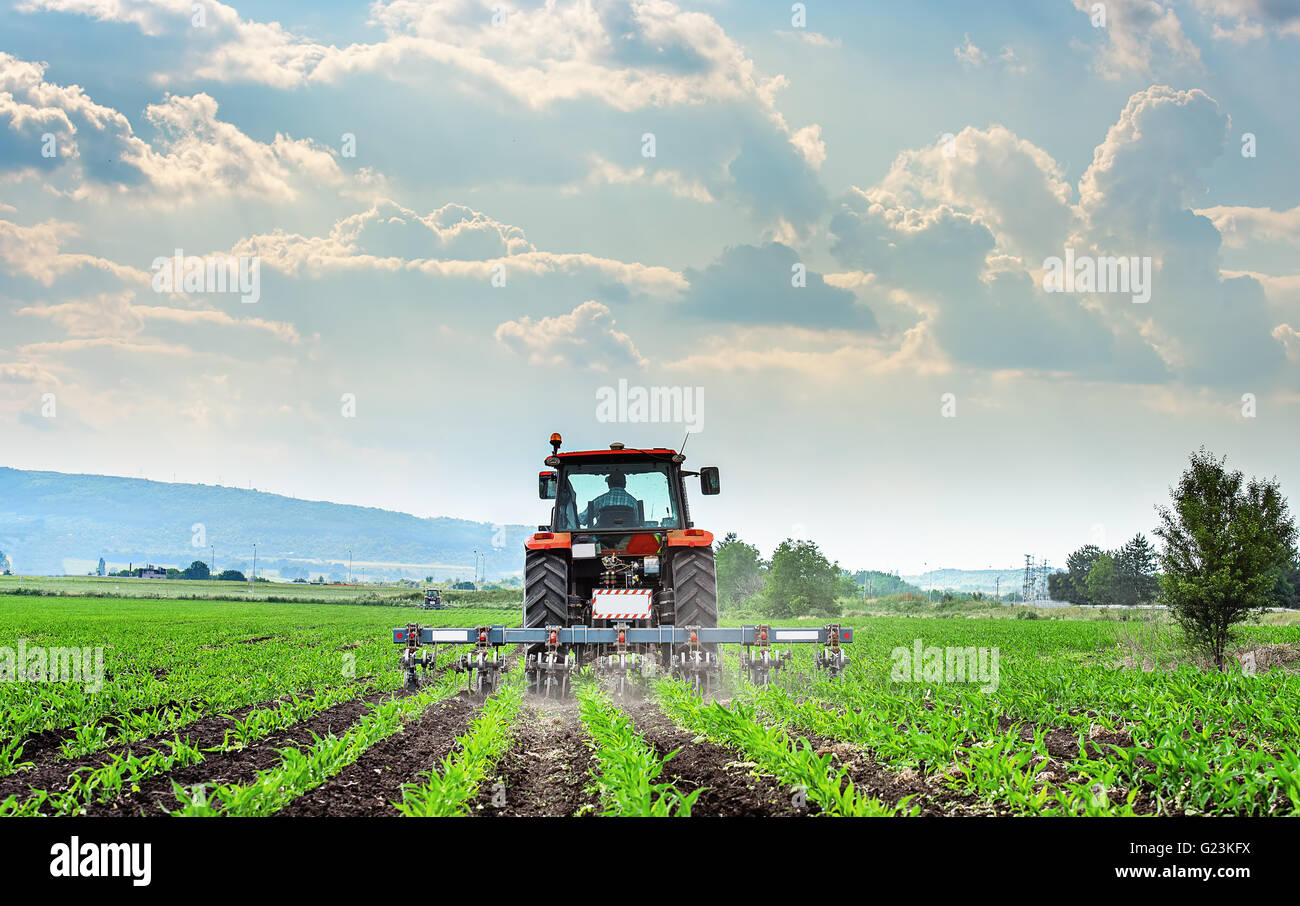 Tractor cultivating field at spring Stock Photo - Alamy