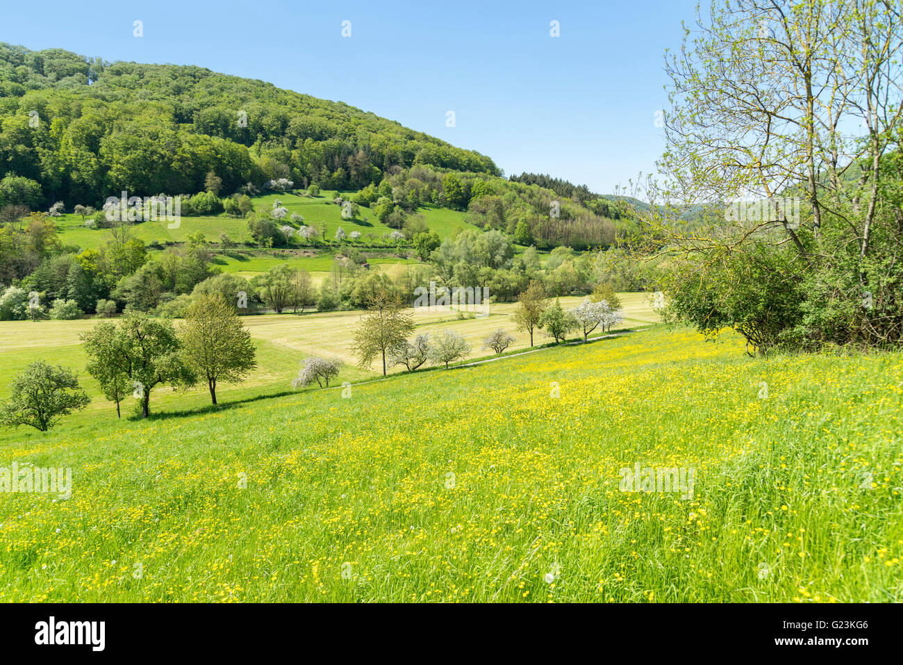 sunny illuminated idyllic rural springtime scenery in Hohenlohe, a ...