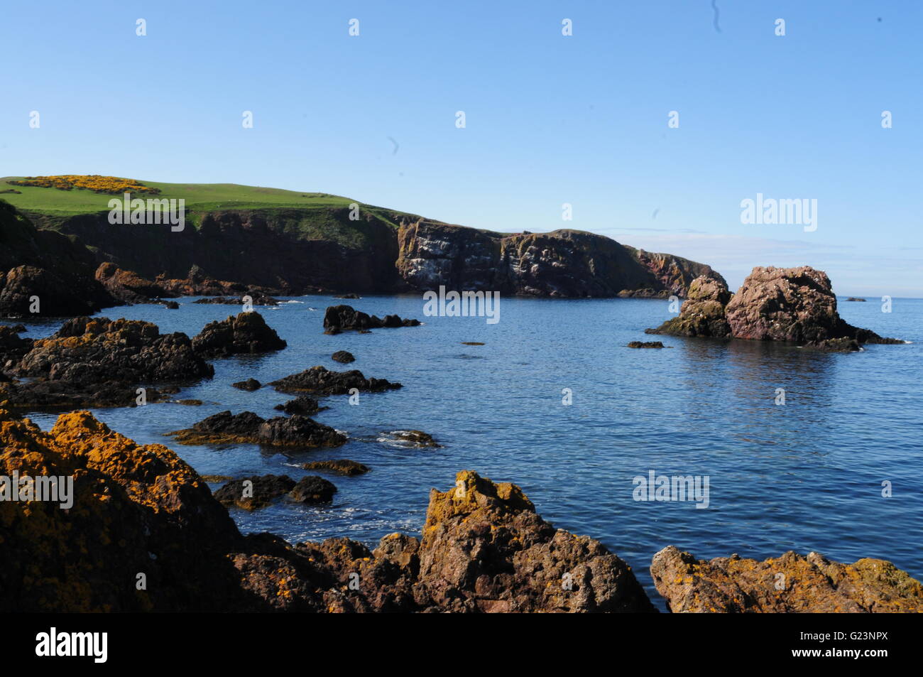 Headlands of scotland hi-res stock photography and images - Alamy