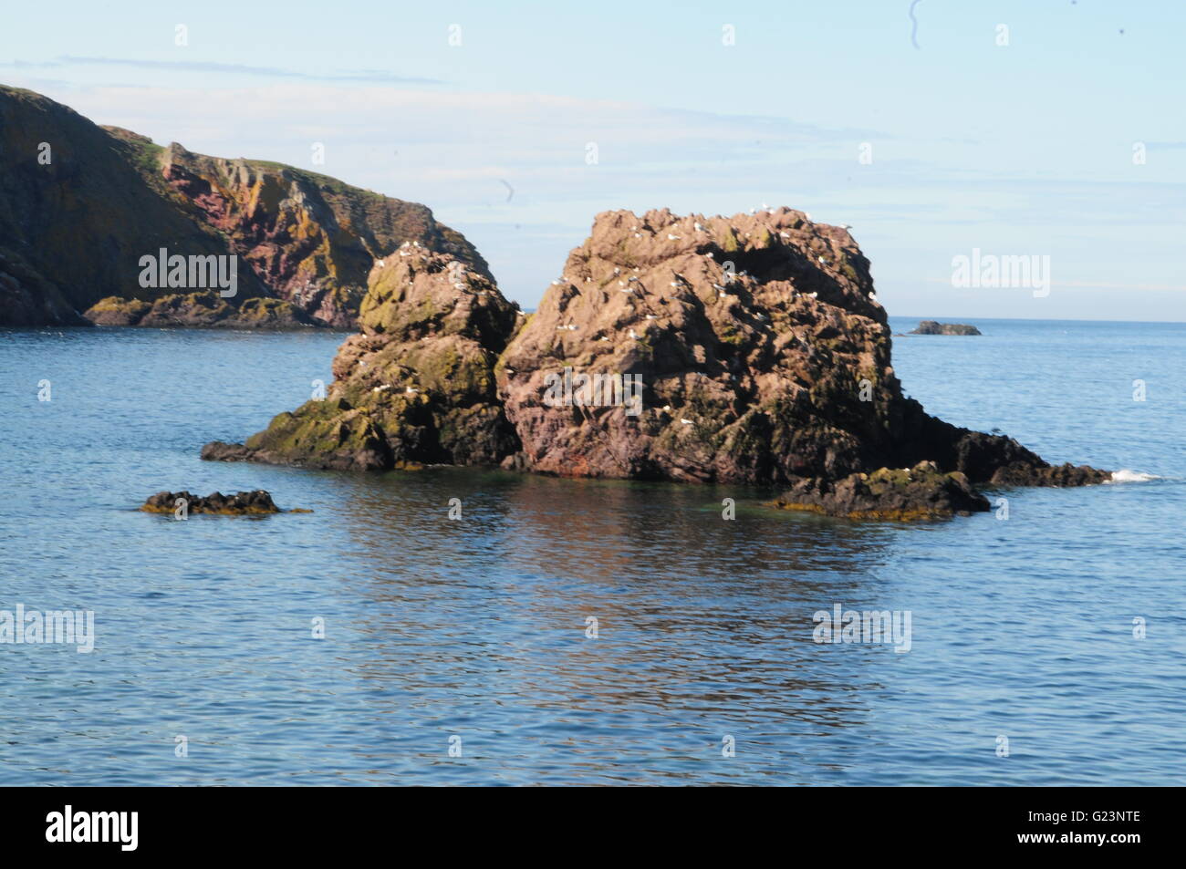Rock formation in the sea at St Abbs harbour Stock Photo - Alamy