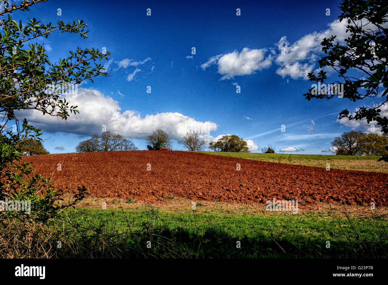 Breinton springs hi-res stock photography and images - Alamy