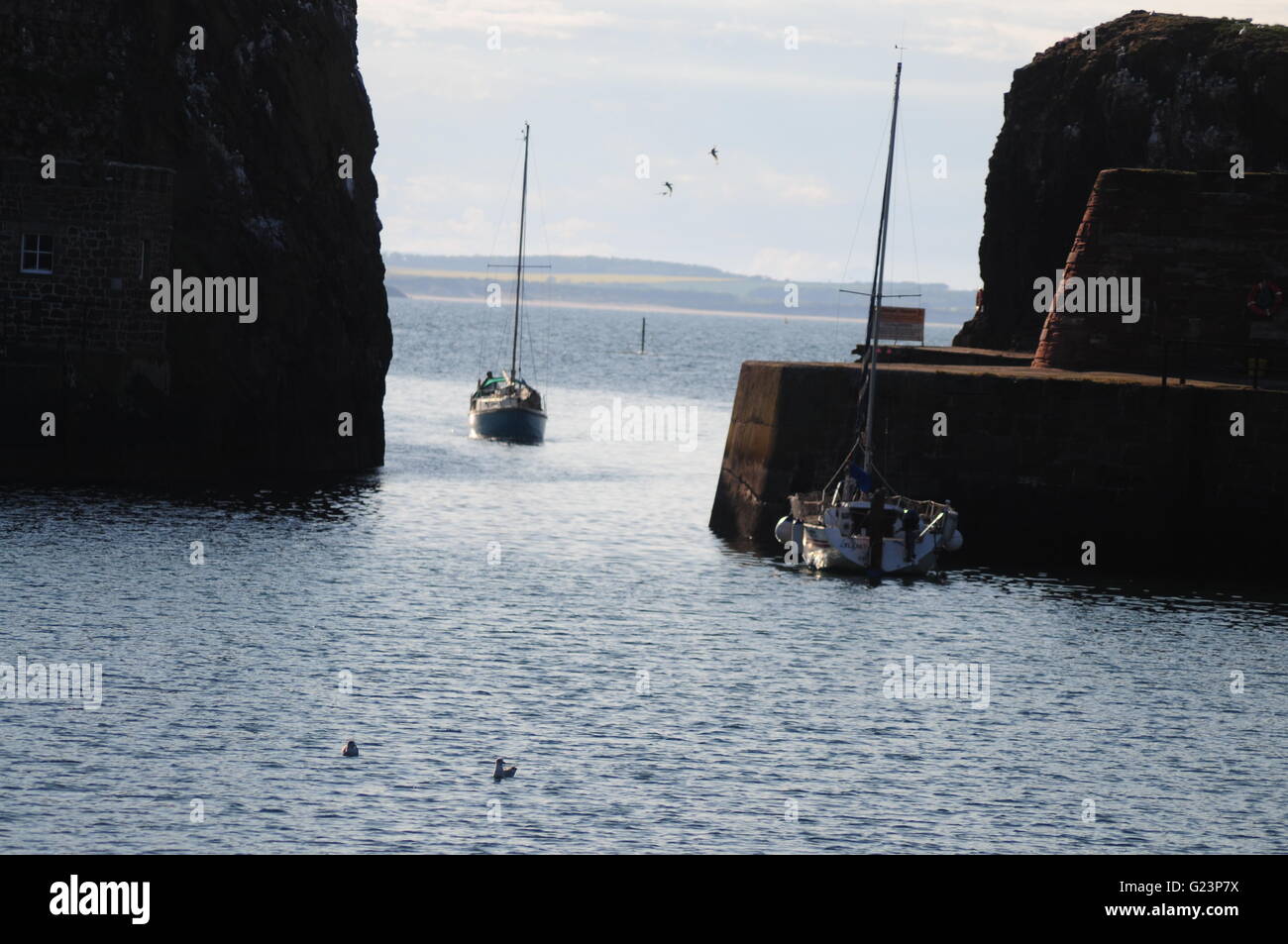 Boat entering Dunbar harbour May 2016 Stock Photo - Alamy