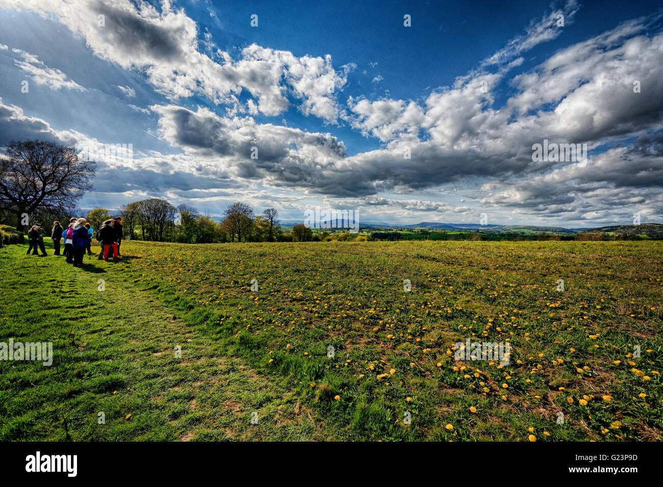 Breinton springs hi-res stock photography and images - Alamy