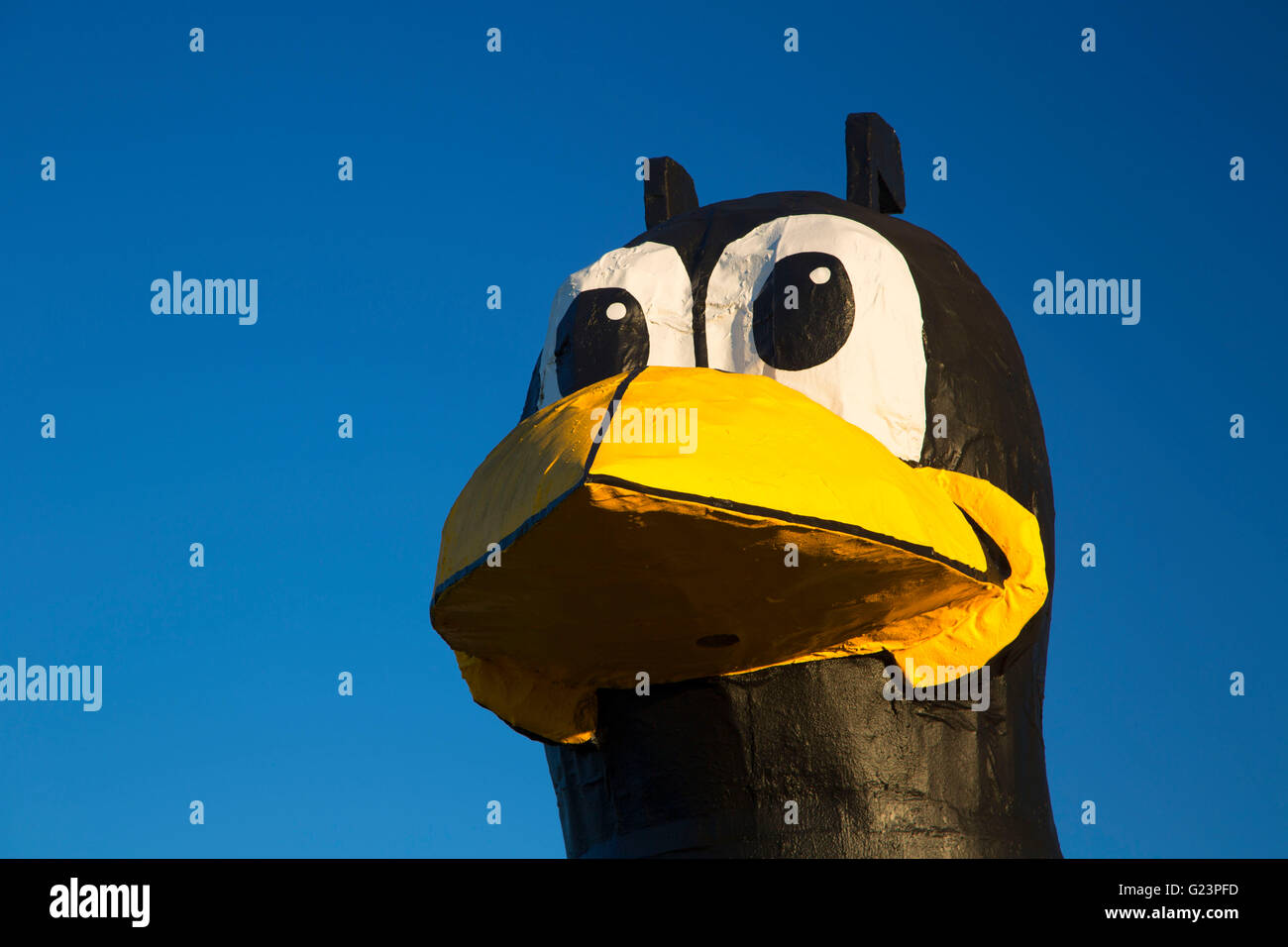 Mall bird hi-res stock photography and images - Alamy