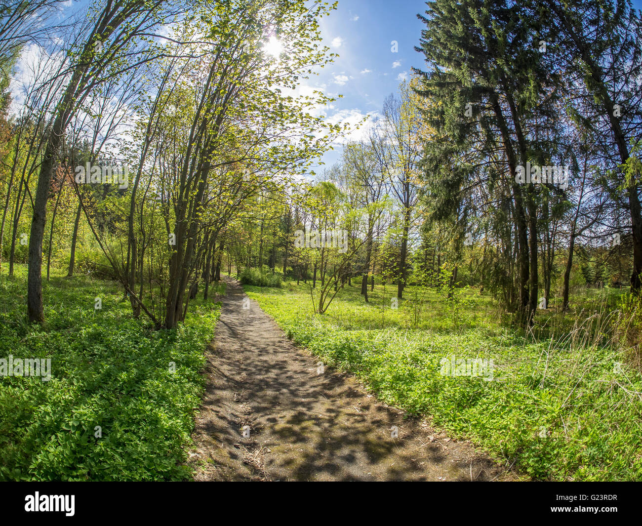trail in Spring Park Stock Photo - Alamy