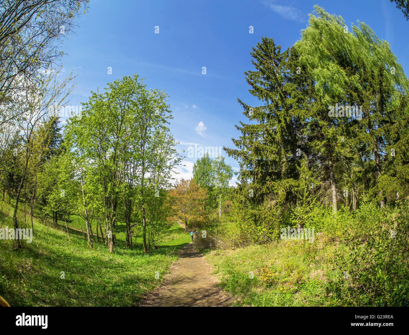 trail in Spring Park Stock Photo - Alamy