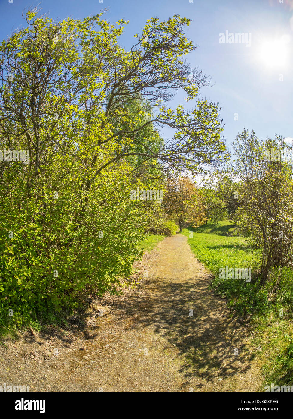 trail in Spring Park Stock Photo - Alamy