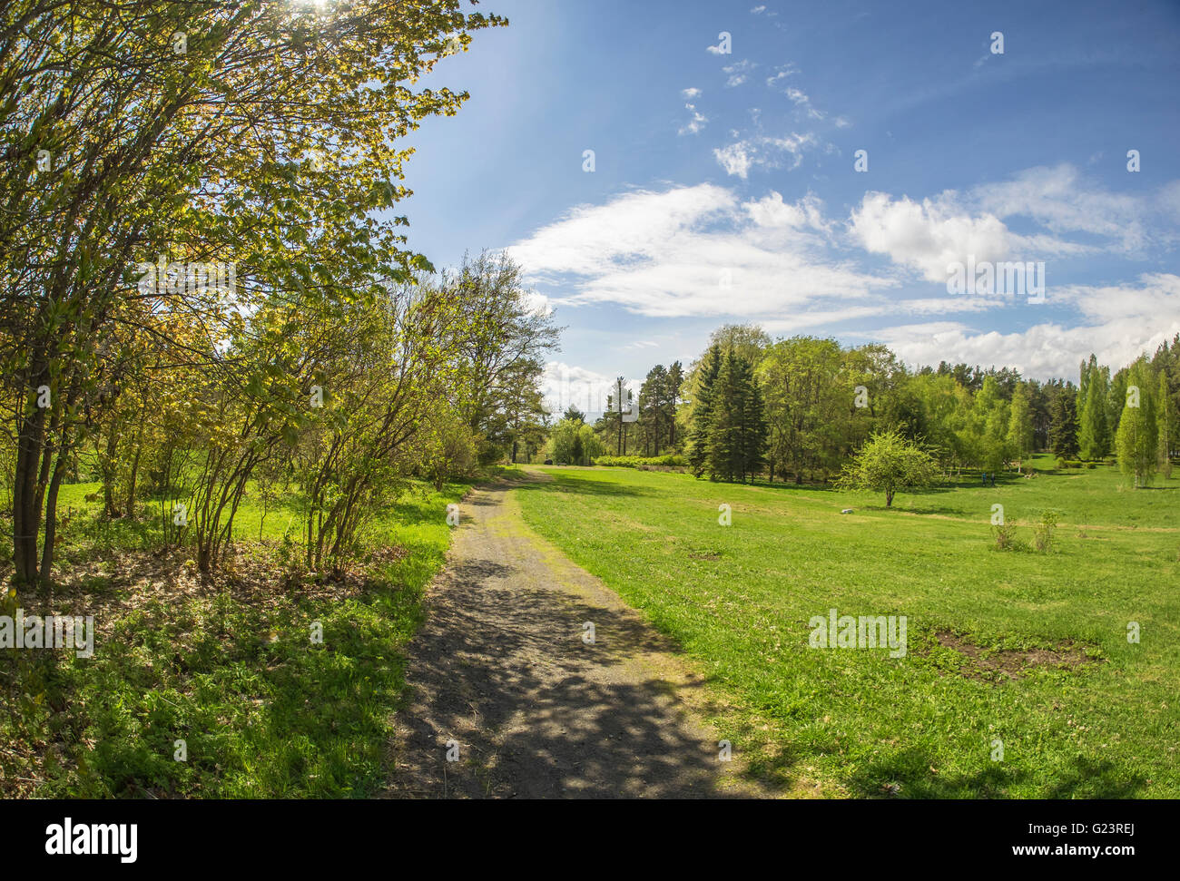 trail in Spring Park Stock Photo - Alamy