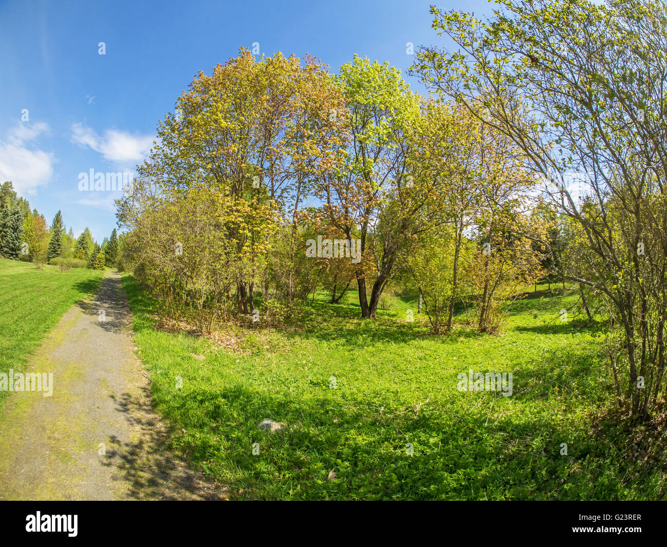 trail in Spring Park Stock Photo - Alamy