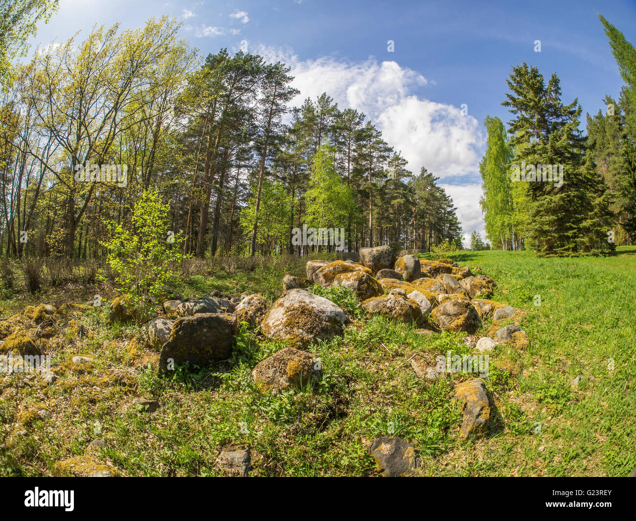 Ridge stones in a park in spring Stock Photo - Alamy