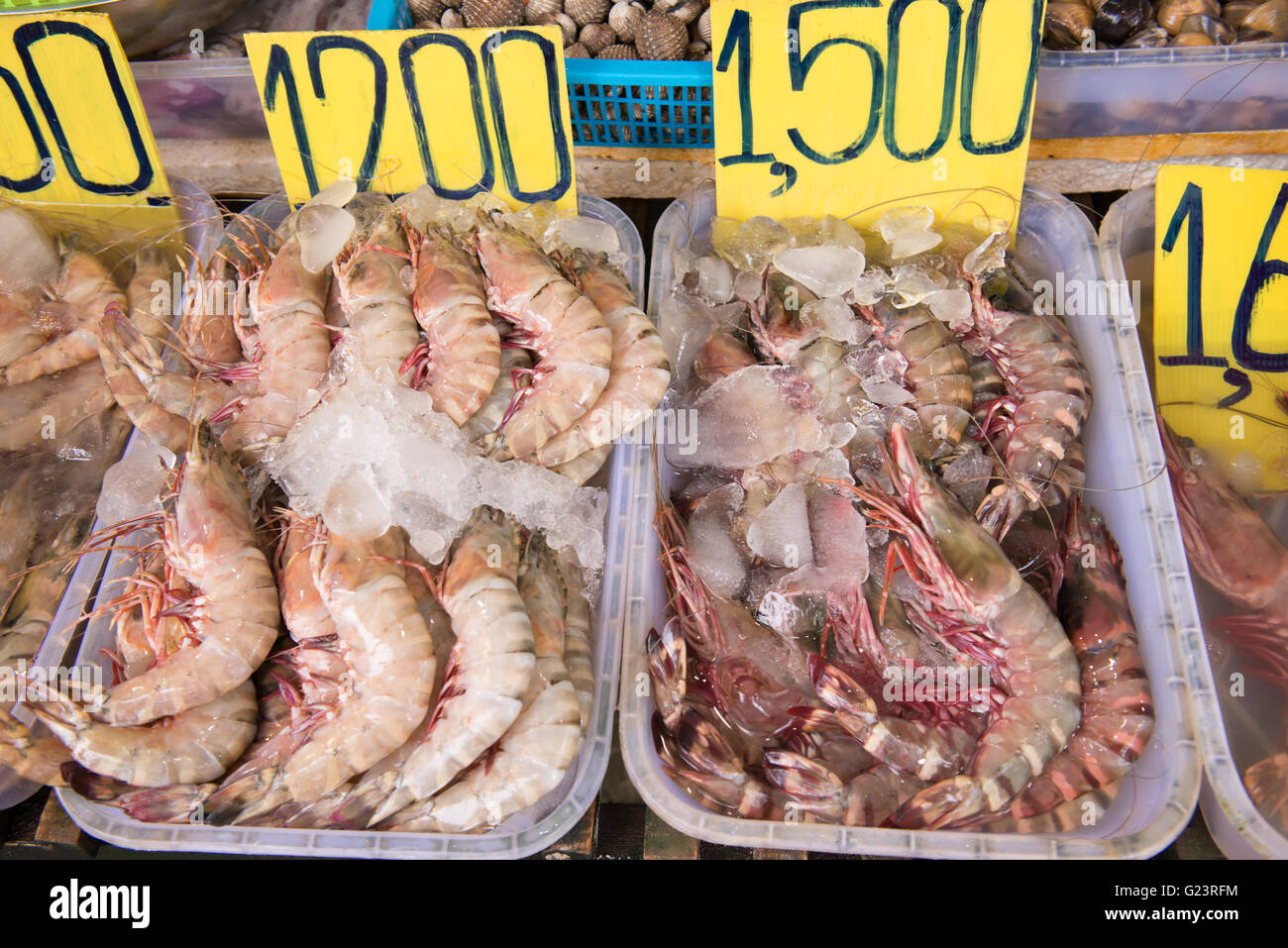 Raw seafood hi-res stock photography and images - Alamy