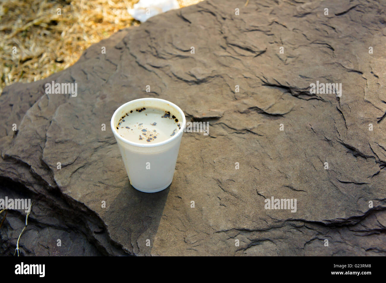 Rock jungle hi-res stock photography and images - Alamy