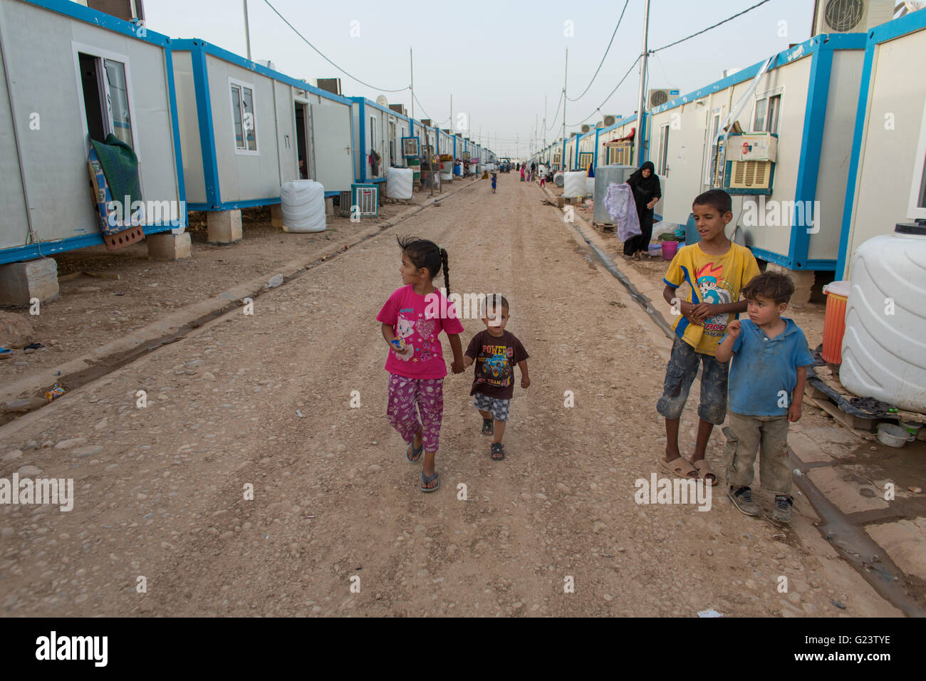 container houses of Iraqi displaced people in Anwald refugee camp ...