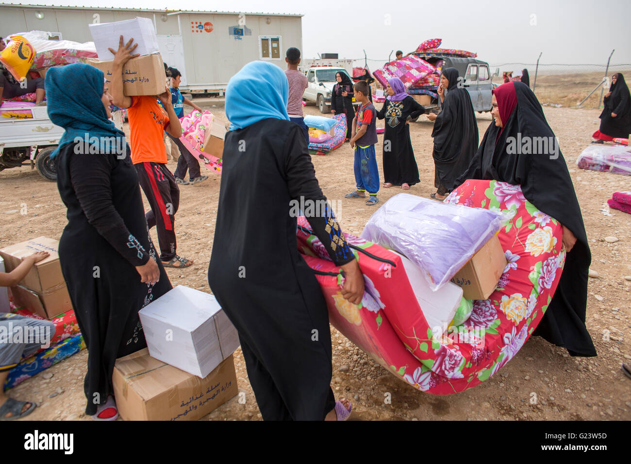 Non Food item distribution to 8000 Internally displaced Iraqi people in ...