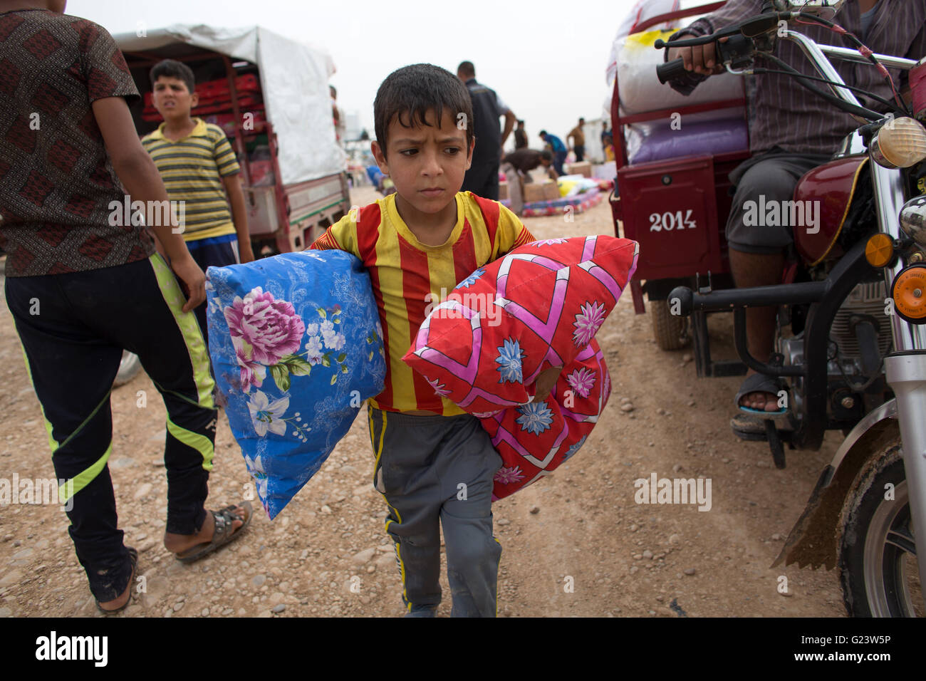 Non Food item distribution to 8000 Internally displaced Iraqi people in ...