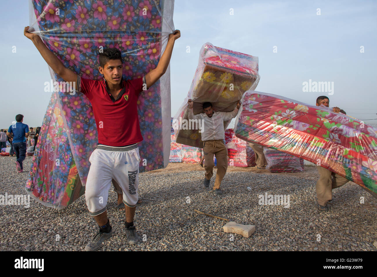 Non Food item distribution to 8000 Internally displaced Iraqi people in ...