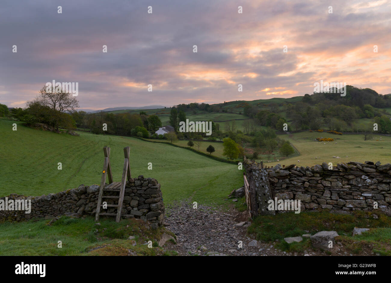 Dawn at a rural setting near Crook in Cumbria Stock Photo - Alamy