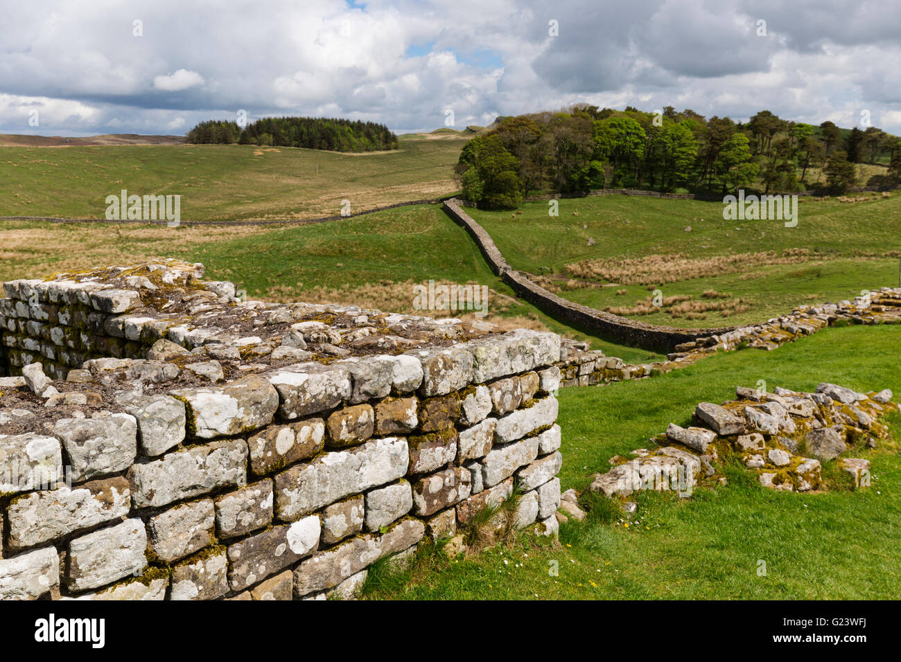 Housesteads Roman Fort in the afternoon sunshine Stock Photo - Alamy