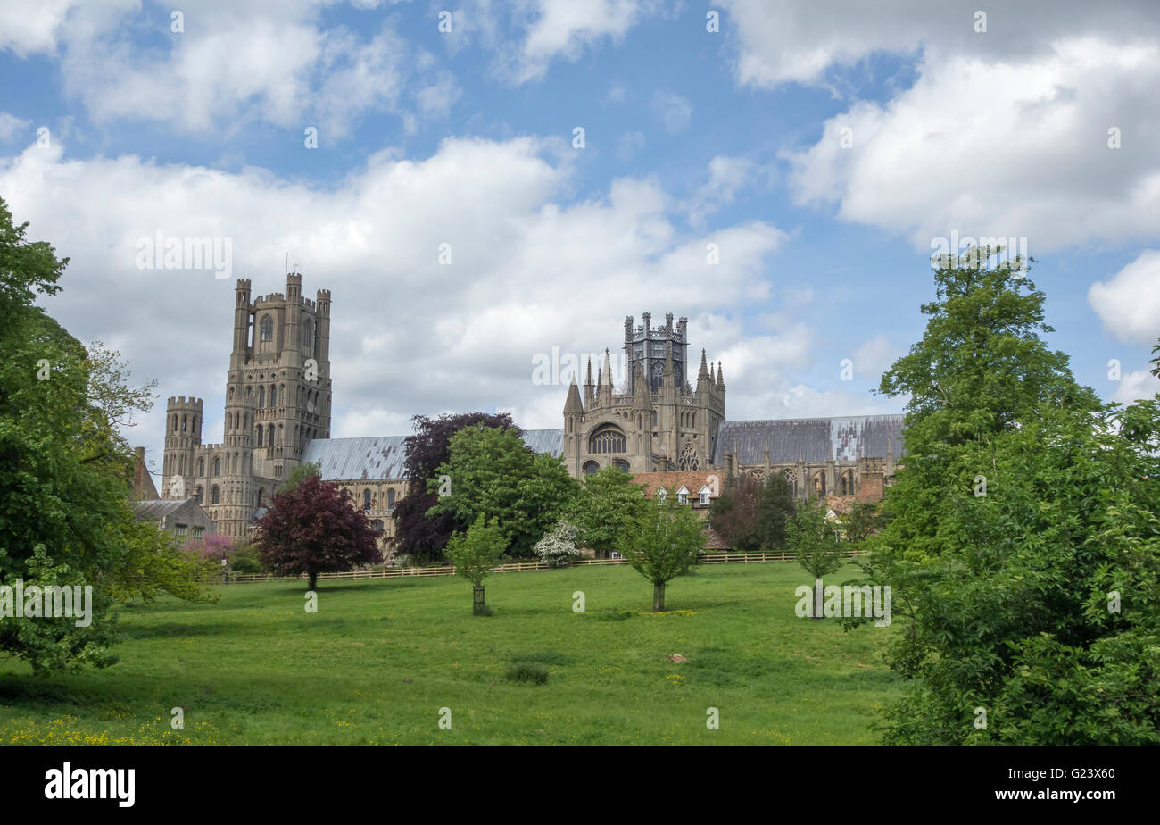 Ely cathedral from Cherry Hill park Ely Cambridgeshire England UK Stock ...