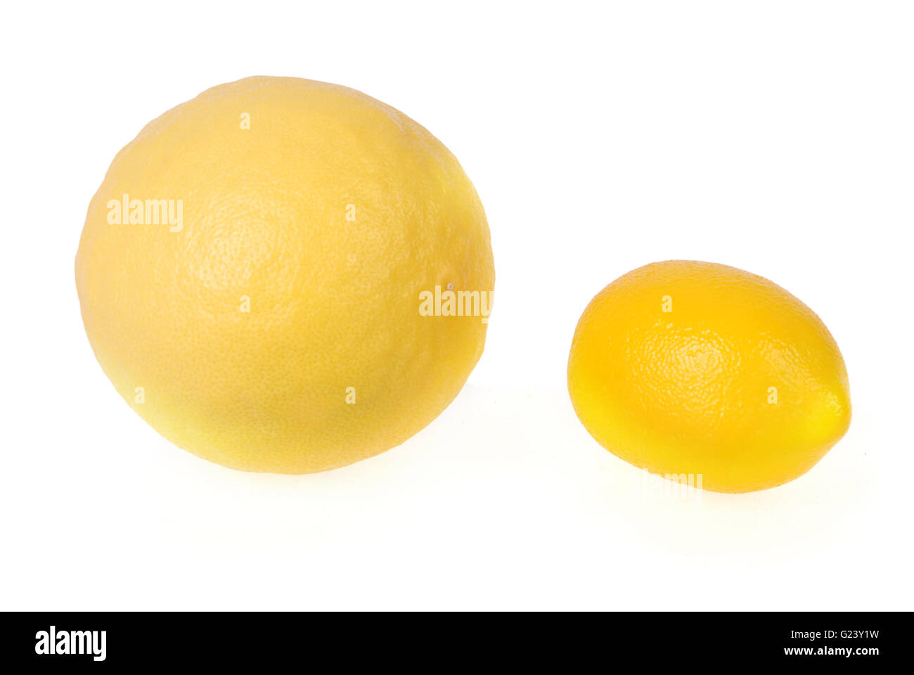 Two lemon big and small isolated on white Stock Photo - Alamy