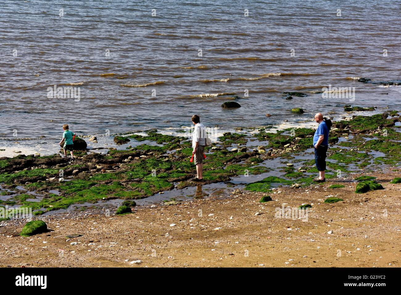 Family with grandparents beach hi-res stock photography and images - Alamy