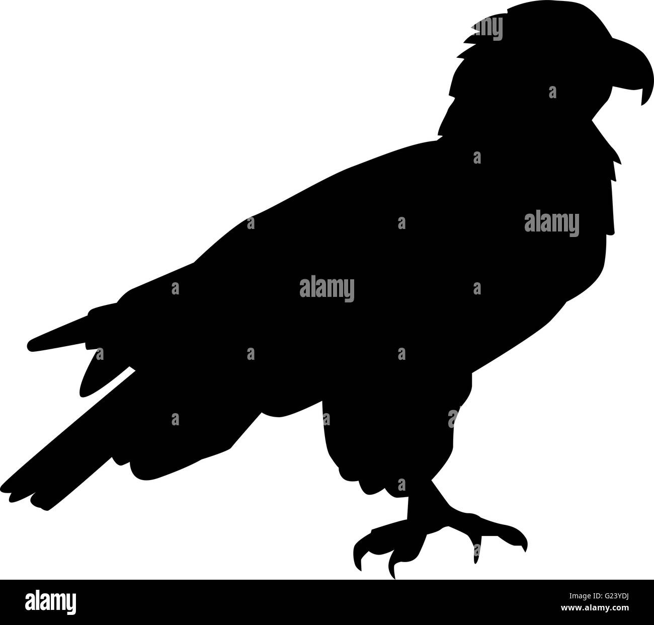 Falcon standing Stock Vector Images - Alamy