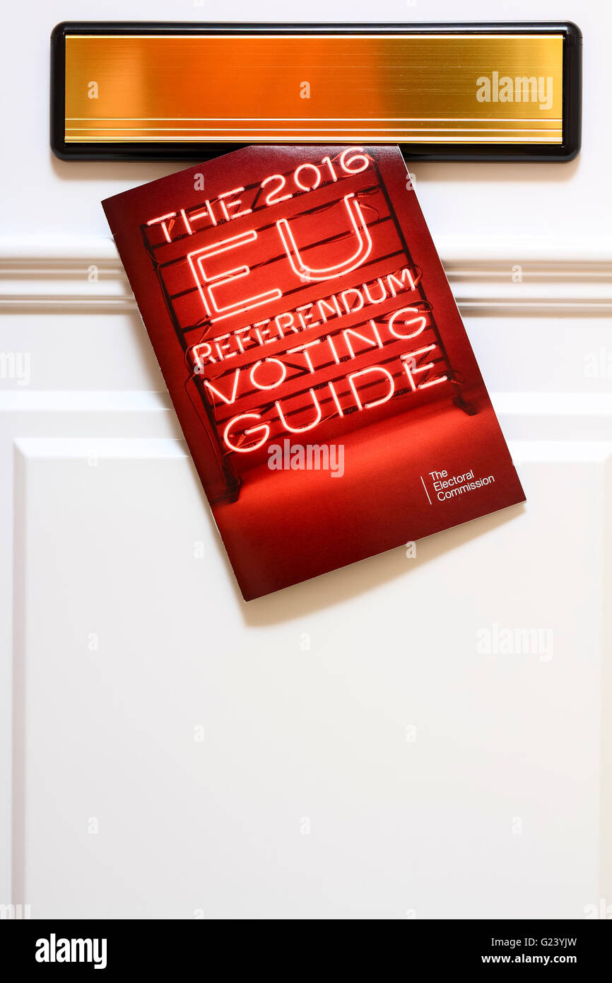 The 2016 EU referendum voting guide posted through a doors letter box ...