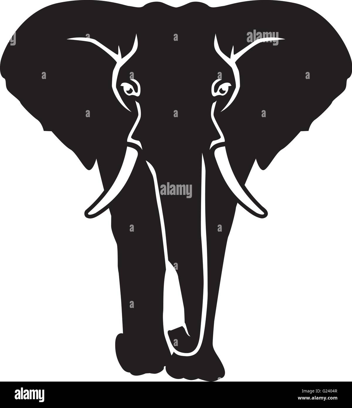 African elephant from front Stock Vector Images - Alamy
